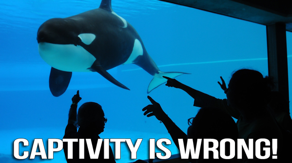 Petition · Stop SeaWorld - United States · Change.org