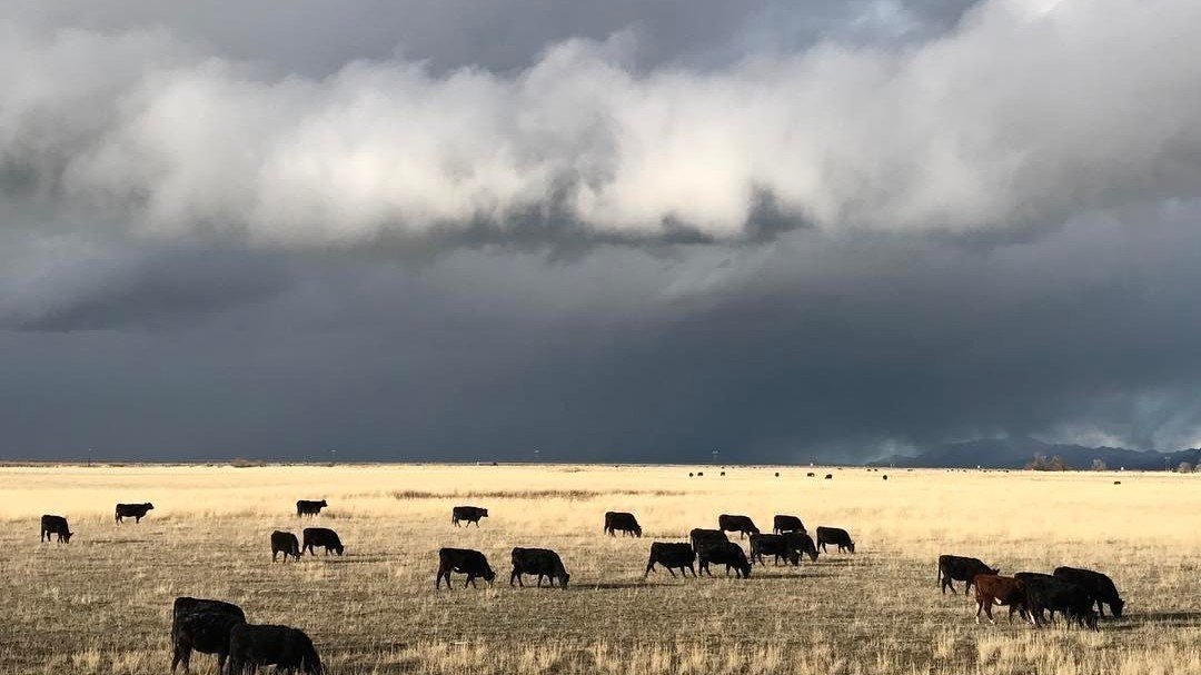 Petition · Vote NO to Sam Drown's rezone request from A-20 to R-M-7 and ...