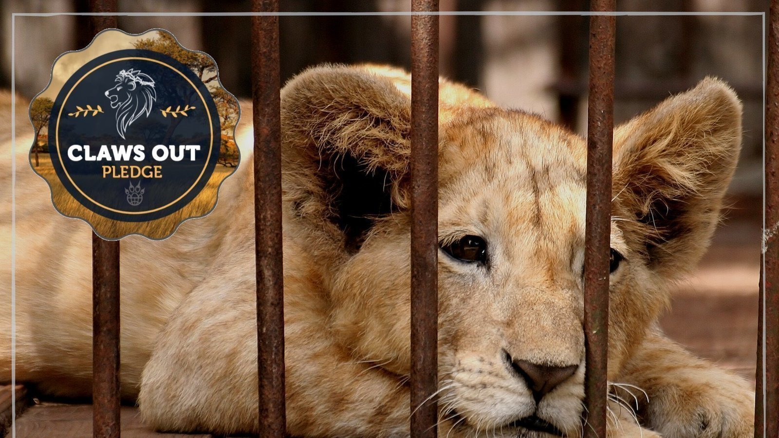 Petition · CLAWS OUT CAMPAIGN - United Kingdom · Change.org