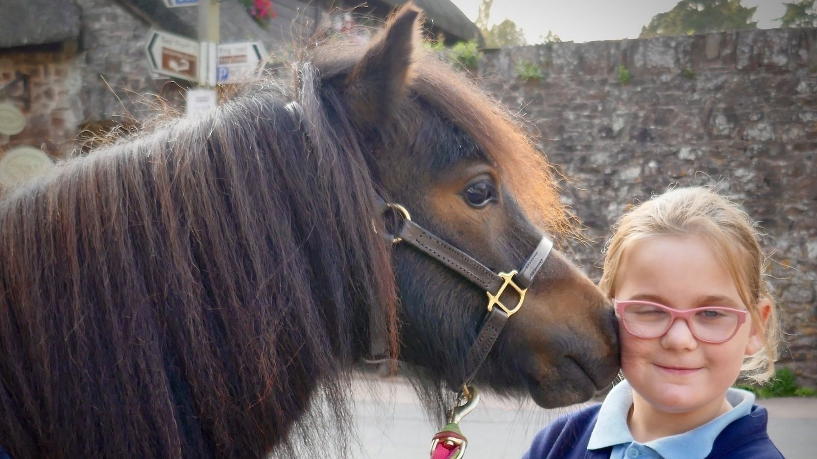 Petition · Patrick The Pony's Campaign to become Mayor of Cockington ...