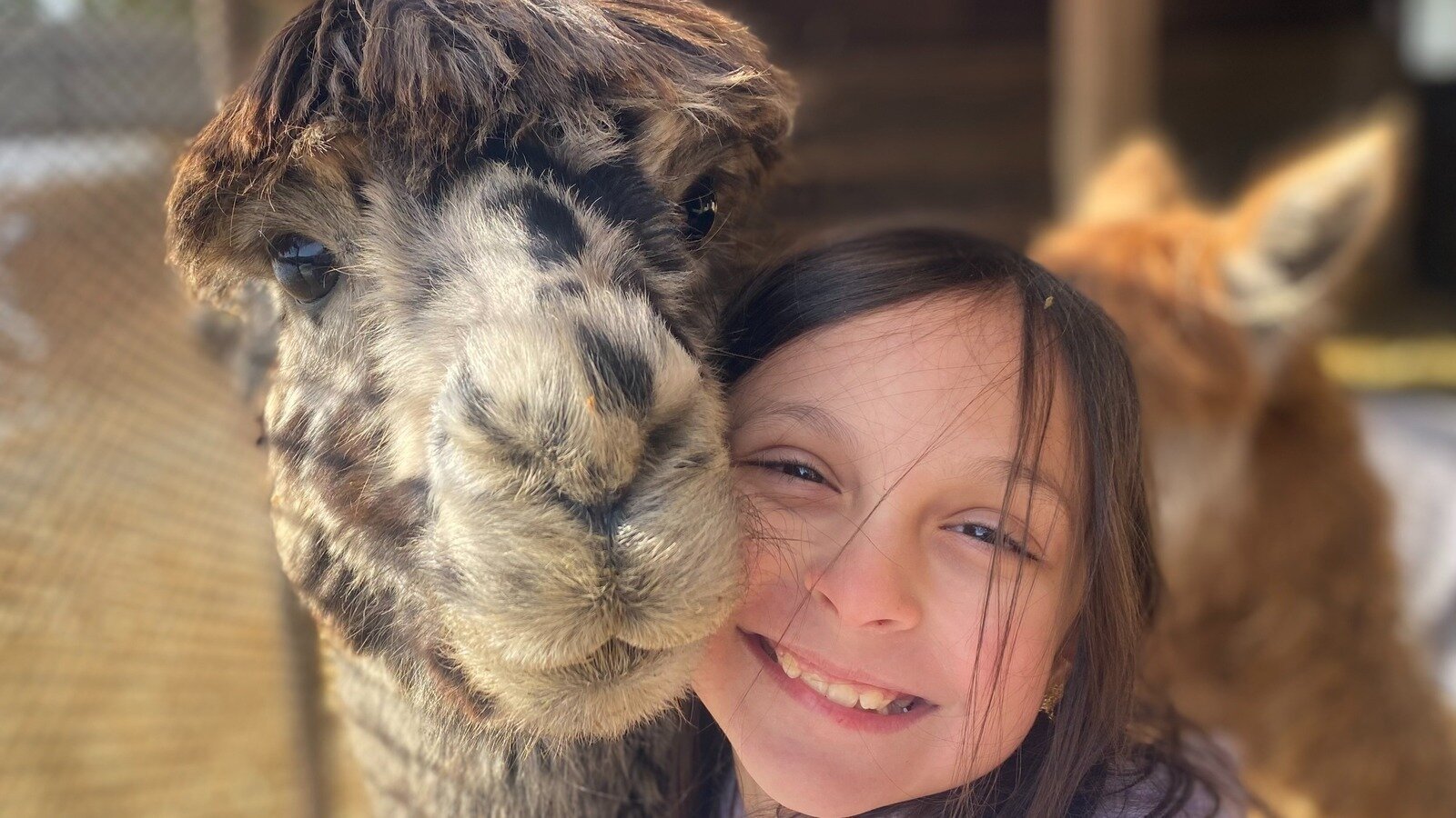 Petition update · "Save Sugars Bridge Farm: Preserve a Historic Farm ...