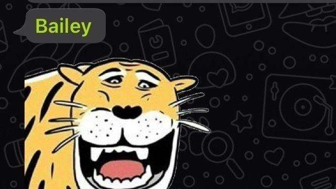 Petisi · Hapus sticker macan Bailey! - Indonesia · Change.org