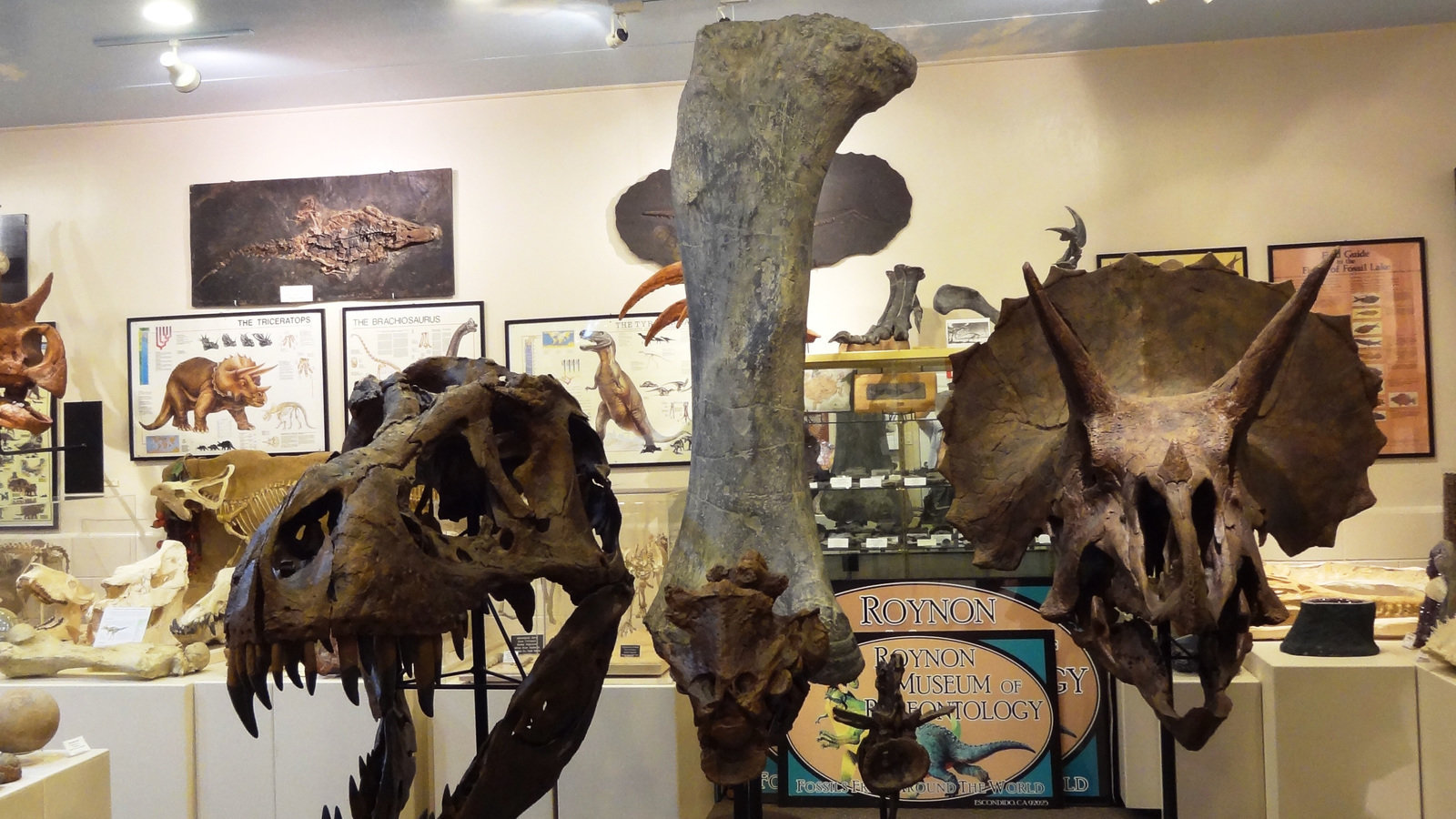 Petition update · The Roynon Petition will be presented Thursday 5/28 ...