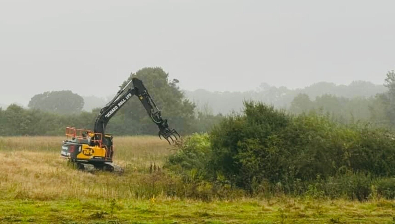 Petition · The esteemed 'St Albans School' should not destroy the Green ...