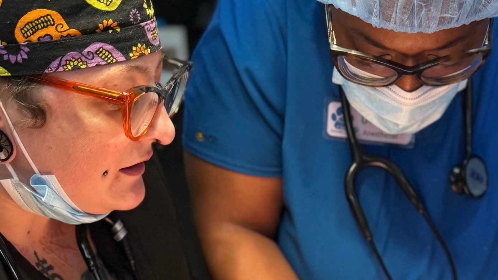 Petition · Keep JENNY B at JJC! - United States · Change.org