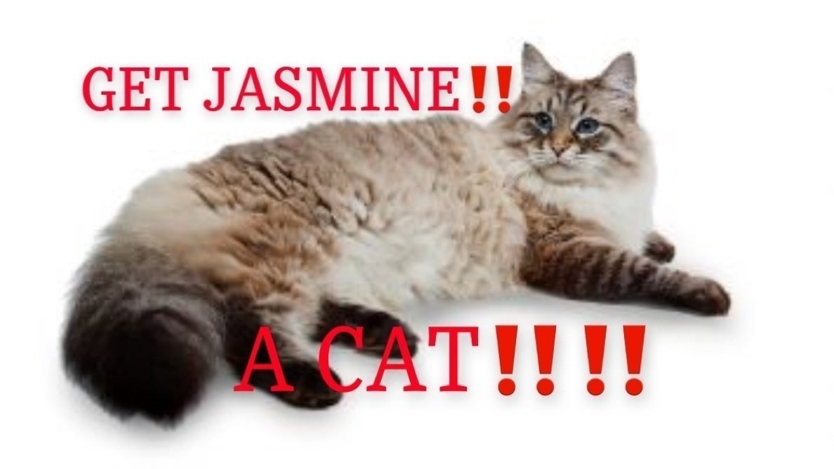 Petition · Get Jasmine a cat! - Canada · Change.org
