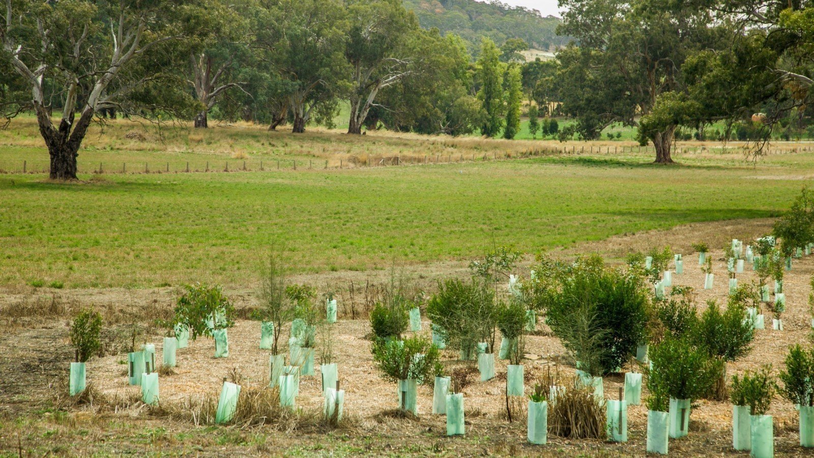 Petition · Allow Land Gift from the Edwards Family for the community of ...