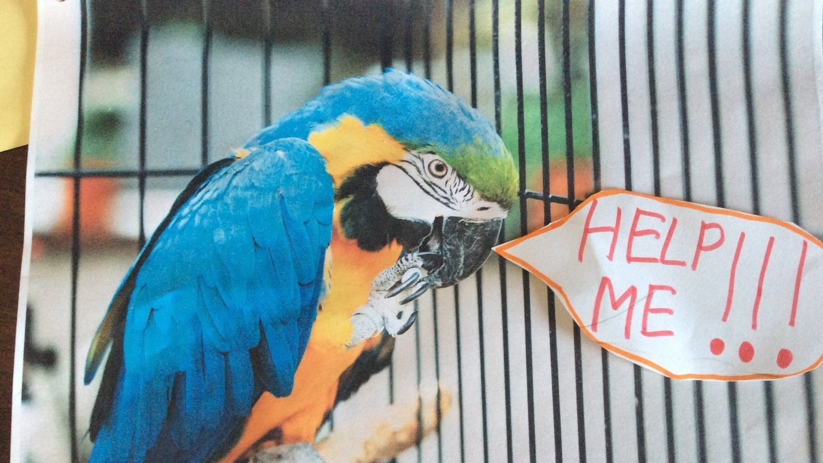 Petition · SAVE the BIRDS - United States · Change.org