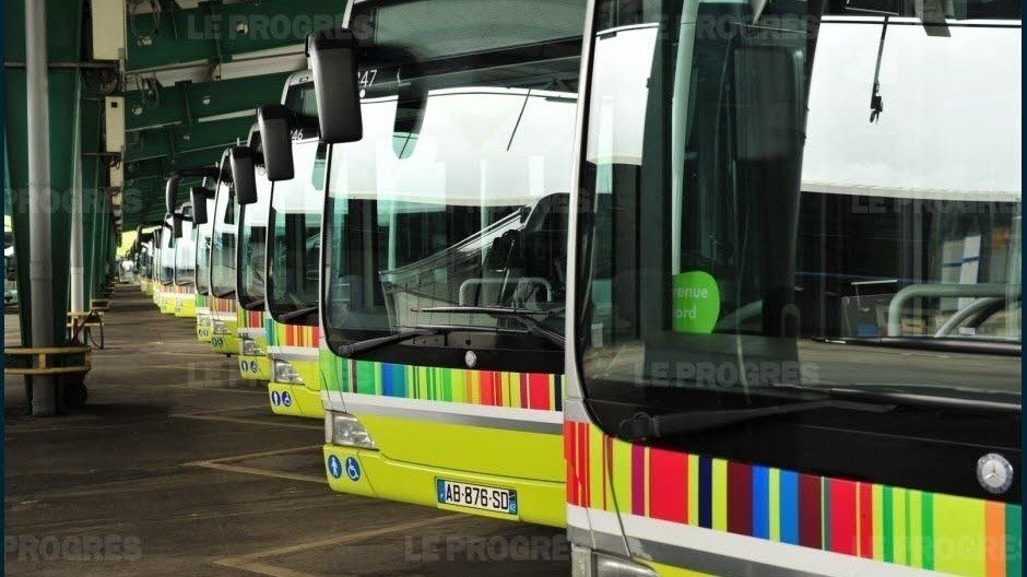 Pétition · Réintégration de Ridha au sein de la STAS - France · Change.org