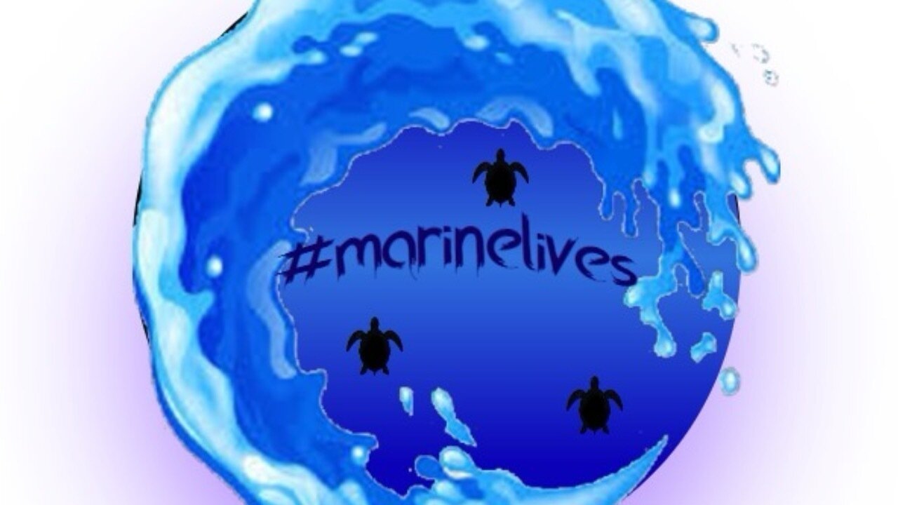 Petition · #marinelives - United Kingdom · Change.org