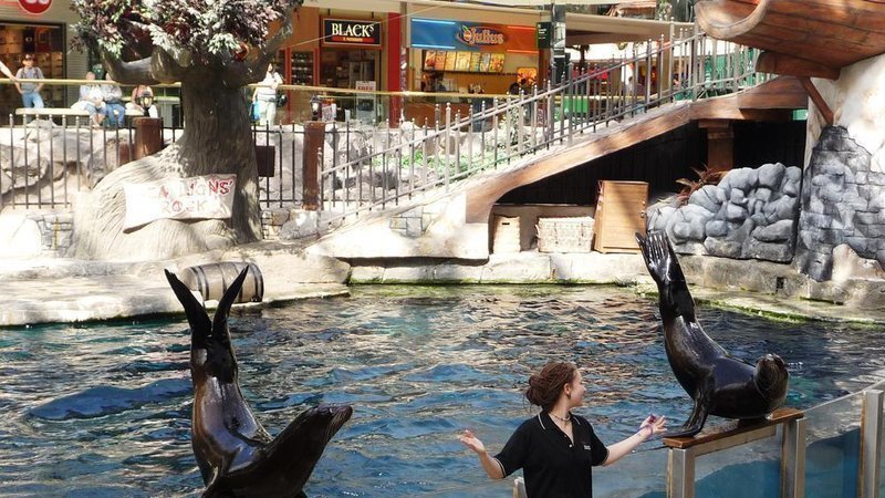 Petition · Remove the seals out of West Edmonton Mall's marine show ...