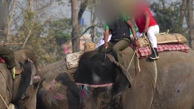 Petition · Ban Elephant rides and games at Chitwan National Park in ...