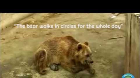 Petizione · BITOLA, MACEDONIA: A LAGER NAMED ZOO - SIGN THE PETITION TO ...