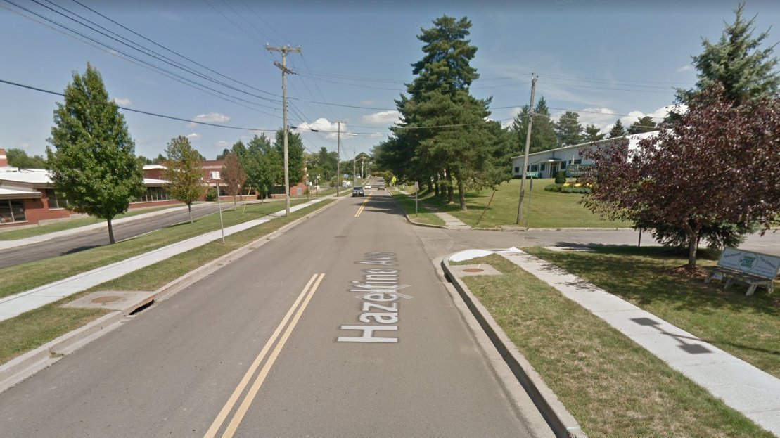Petition · Get a Traffic Light installed on Hazeltine Ave by Persell ...