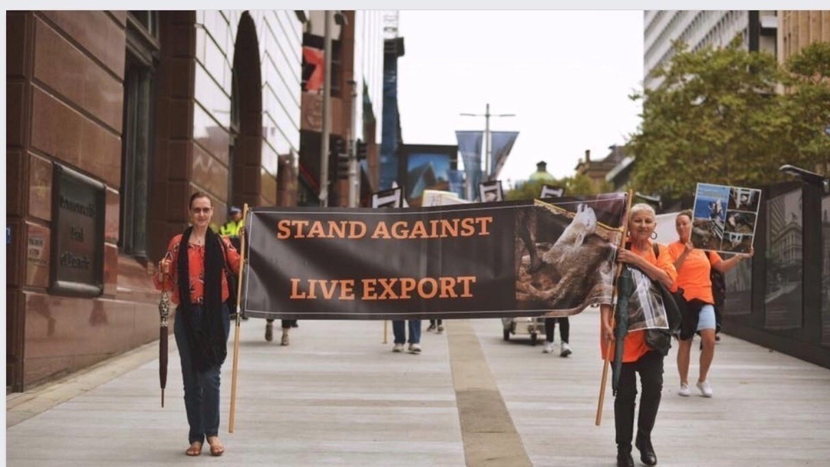 Petition update · Awaiting Information · Change.org · Change.org