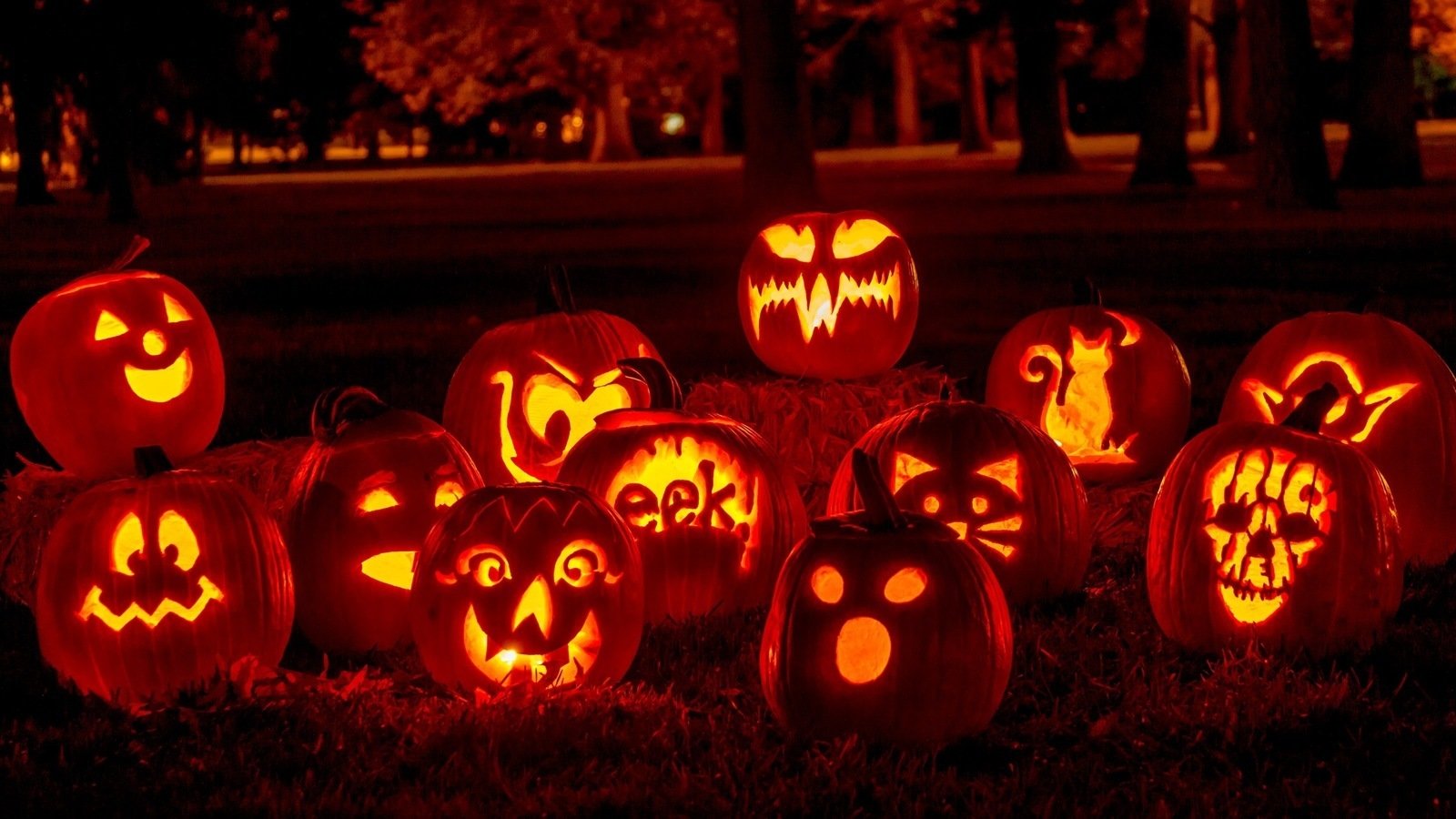 Petition School The Day After Halloween Change petition-school-the-day-after-halloween-change