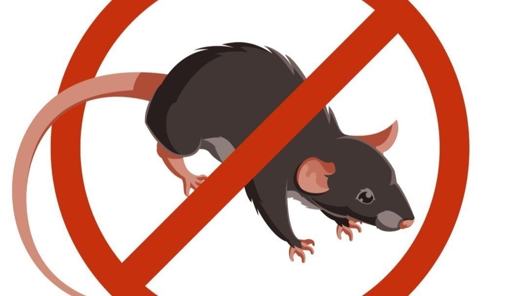 Petition · Stop the Rats: Dunterlie community needs help! - United ...