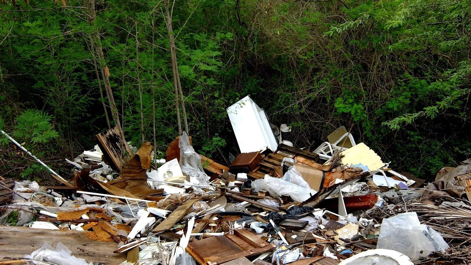 Petition · Enforce the Abatement of Litter Act 2015 to ensure that ...