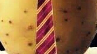 Petition · Convert Harry Potter into Harry Potato - Australia · Change.org