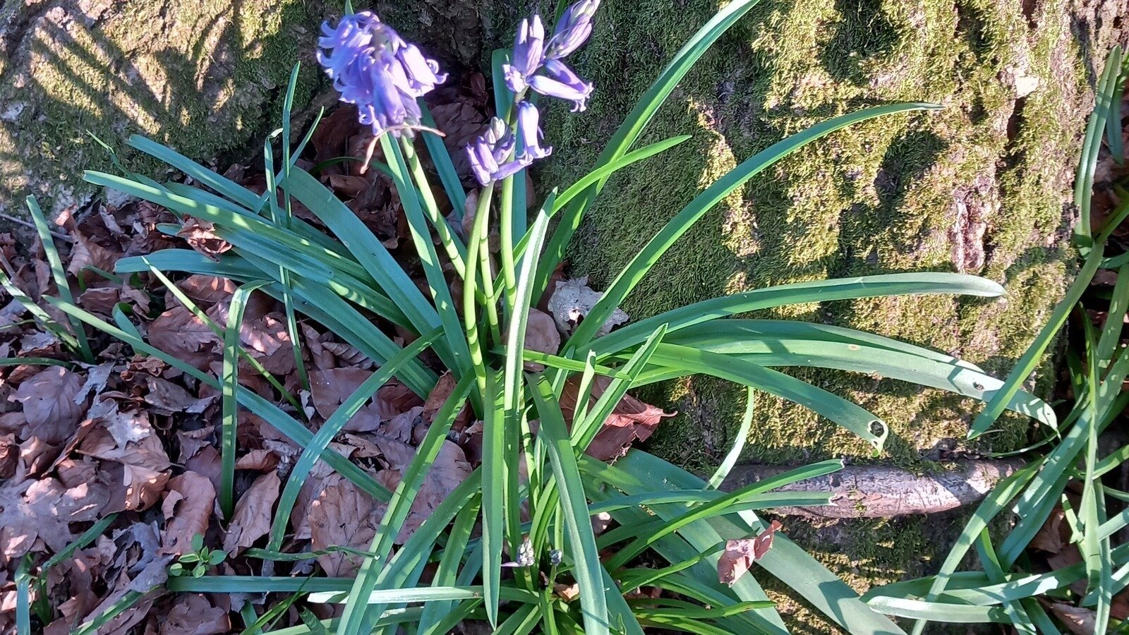 Petition · Implement 20mph zone for safety in Emmer Green - United ...