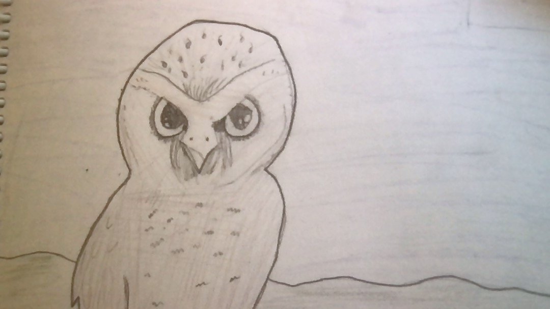 Petition · Burrowing Owls and Swift Foxes in Alberta - Canada · Change.org