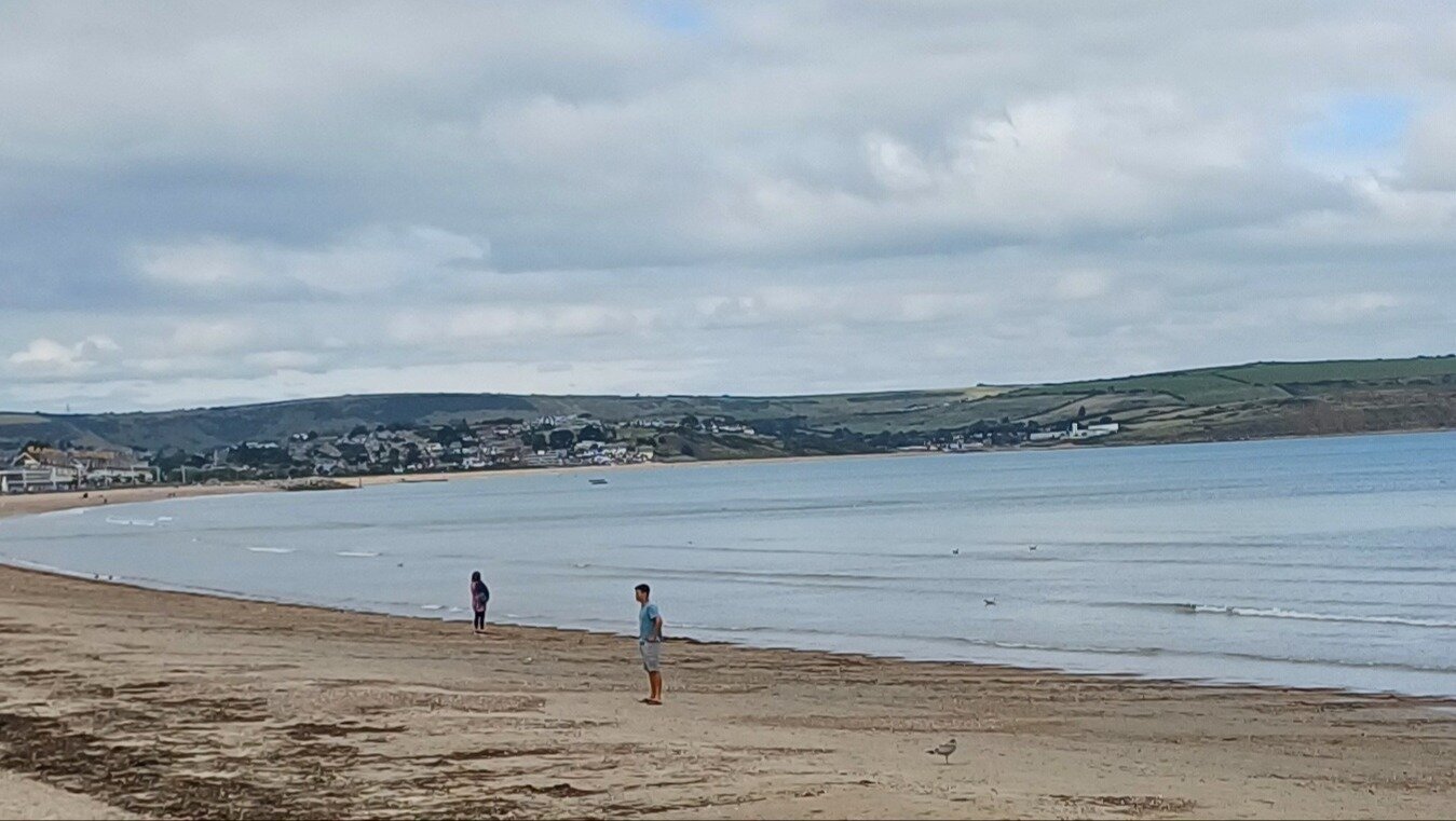 Petition · Allow dogs on beaches from 1st September instead of 1st ...