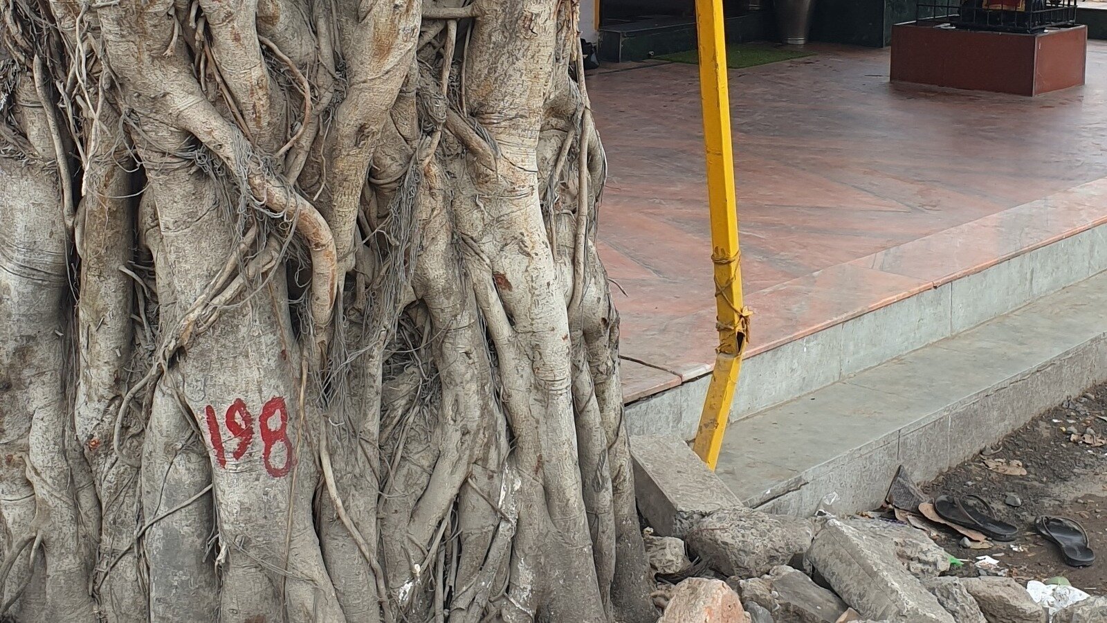 Petition · 🆘️SAVE THE TREES OF BHOPAL🆘️ - India · Change.org