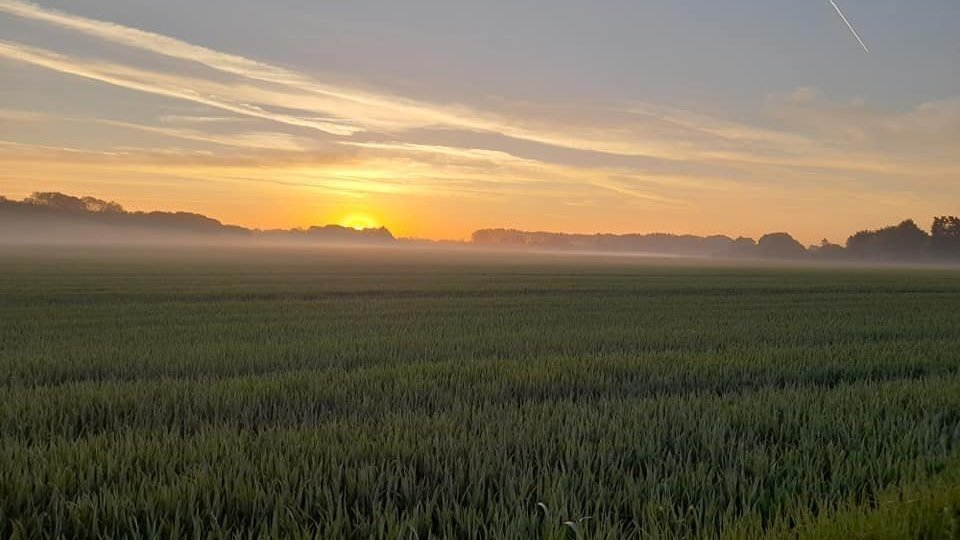 Petition · Stop Lidsing Garden Village Development #savelidsing ...