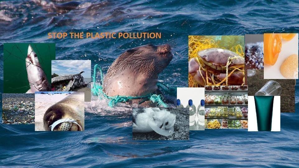 Petition · @CocaCola @Danone @Nestle : Stop the plastic Pollution ...