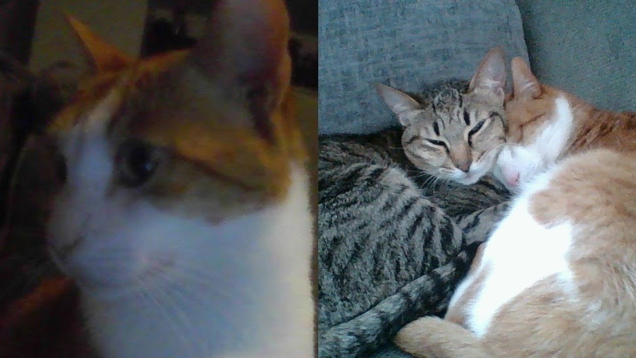 Petition · Lets Remove Human Rights!!!!!! - United States · Change.org