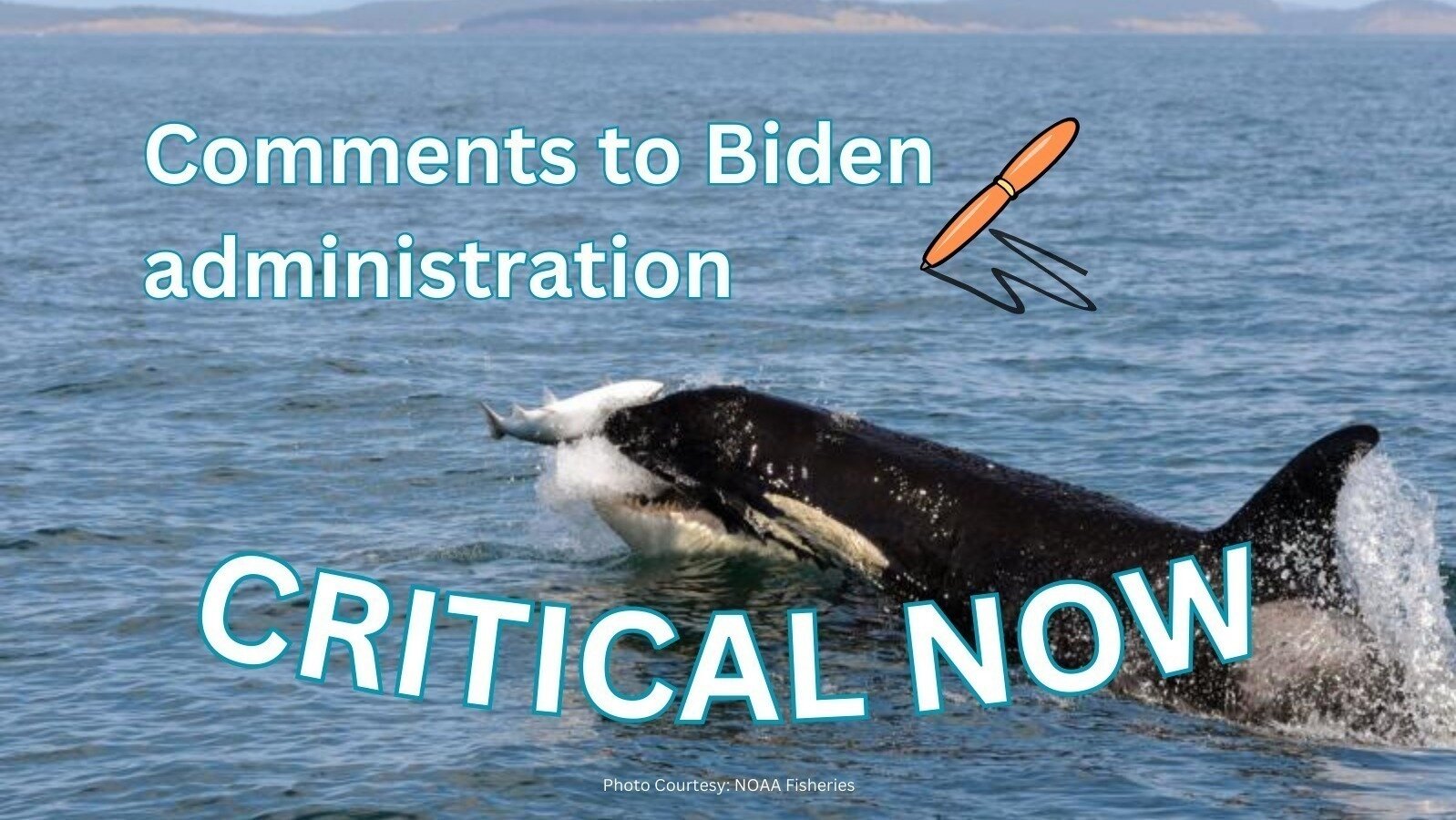 Petition update · Lower Snake River Dam Breaching Support - PLEASE TAKE ...