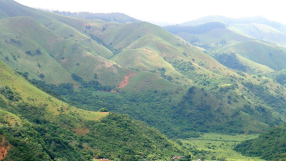 Petition · Remove Moses Dlamini from Director of Social Welfare in ...