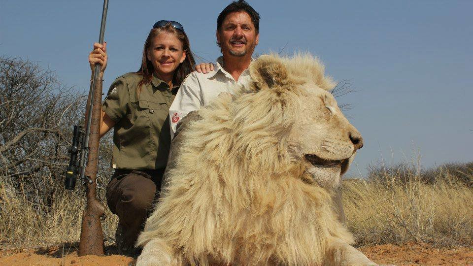 Petition · Ban Lion Trophy Imports from any country into the USA ...