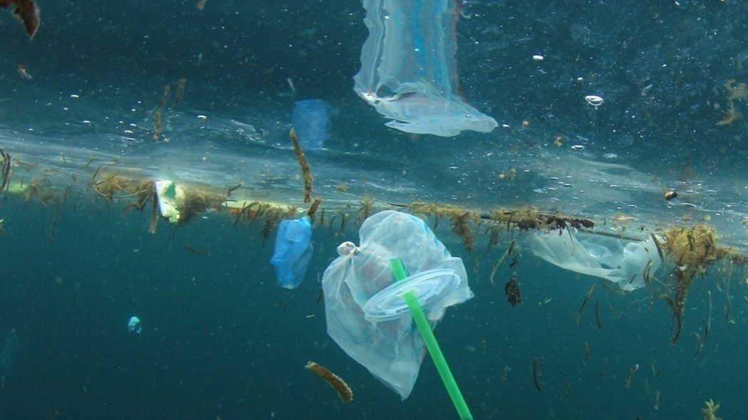 Petition · Get shops to use less plastic - United States · Change.org