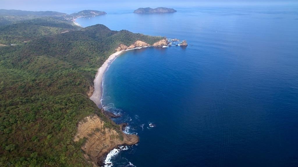 Petición · Protección a La Playita de Salango, sitio de anidación de ...