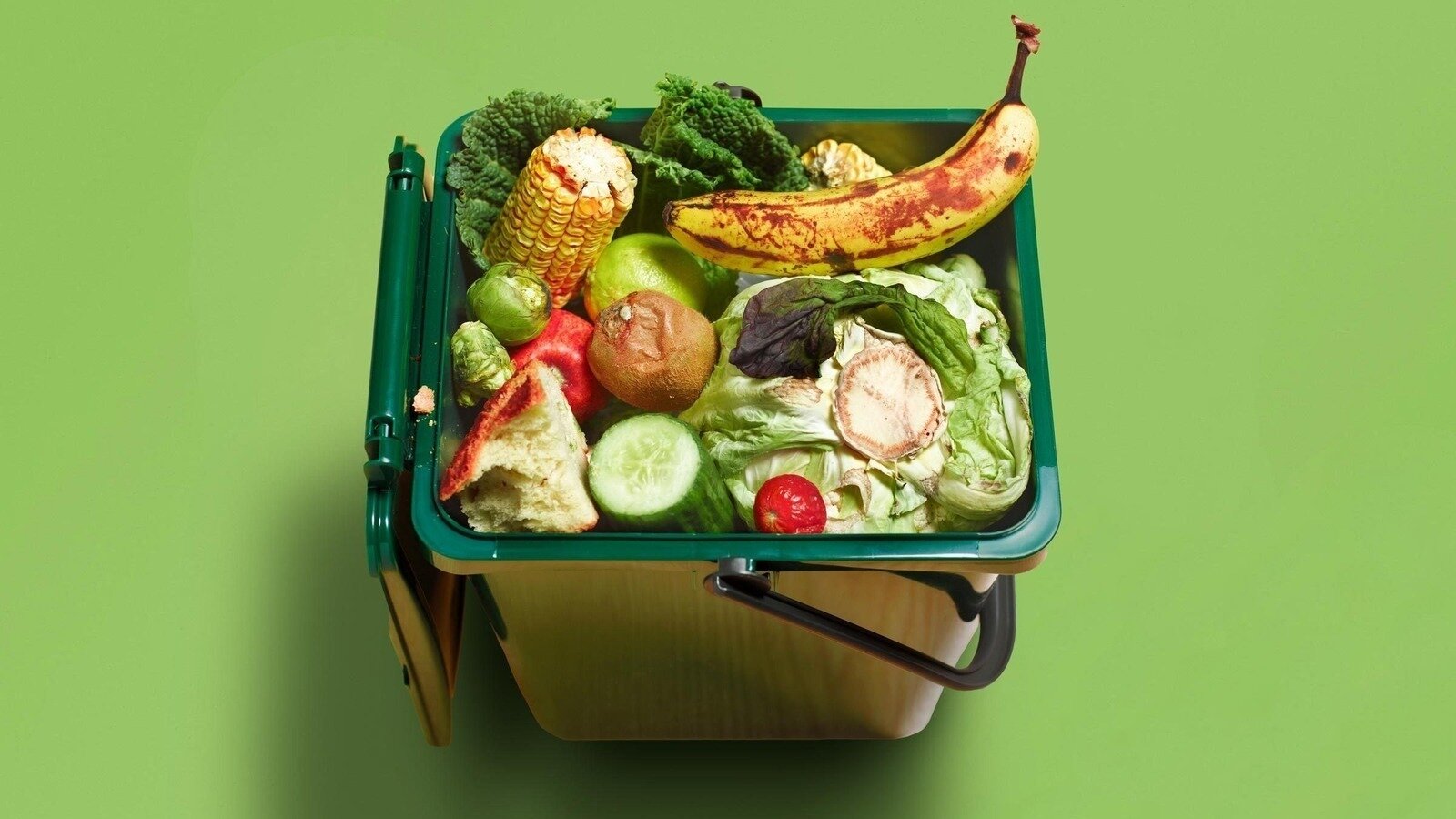 Petition · Start Curbside Food Waste Pickup in the Hutt Valley - New ...