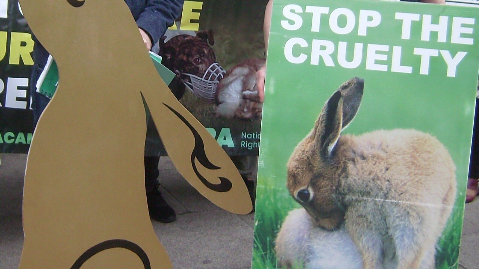 Petition update · Be creative for nature and the animals! · Change.org · Change.org