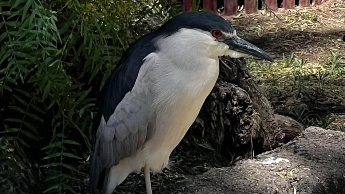 Petition · Change El Capitan Mascot - Lakeside, United States · Change.org