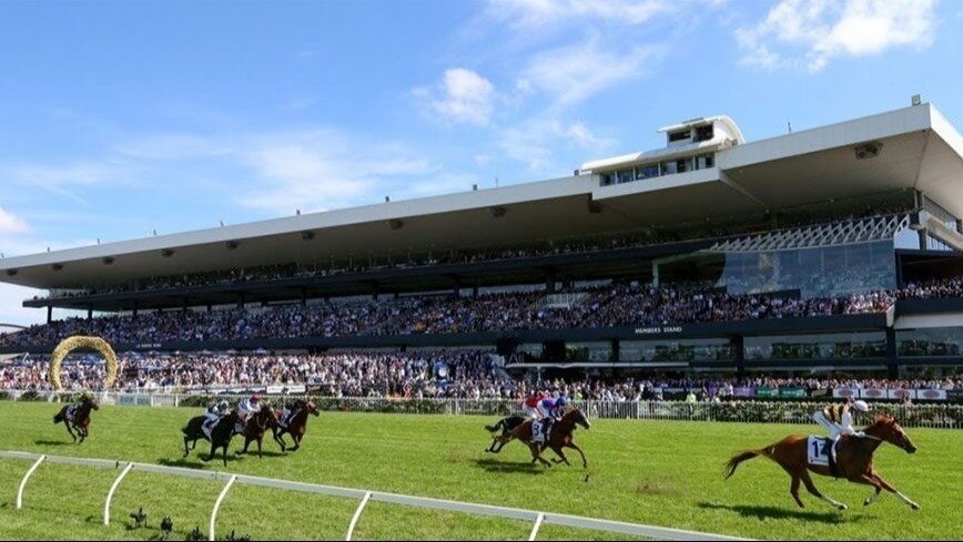 Petition · Preserve Our Racing Legacy: Halt the Demise of Rosehill ...