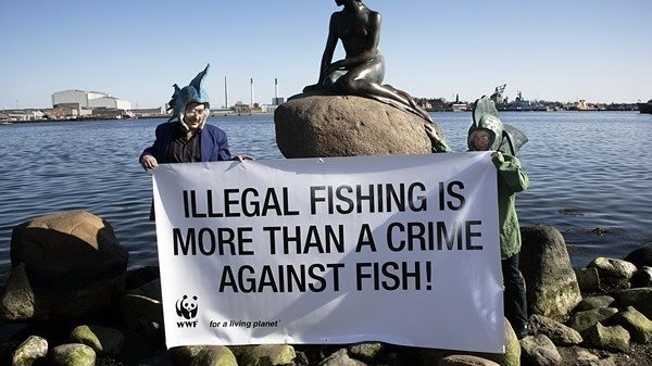 Petition · Stop illegal fishing. Protect marine resources, save sea ...
