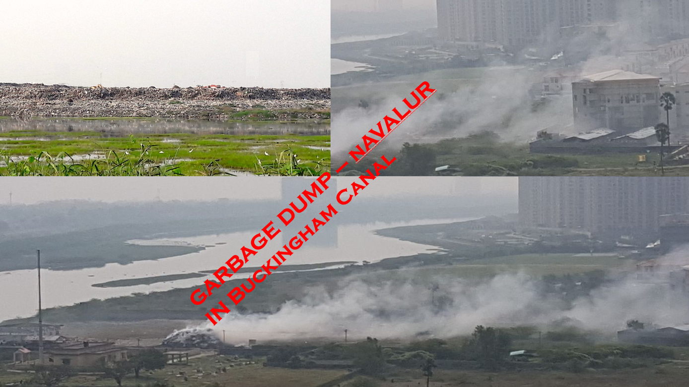 Petition · Buckingham Canal garbage dump OMR - serious offence by ...