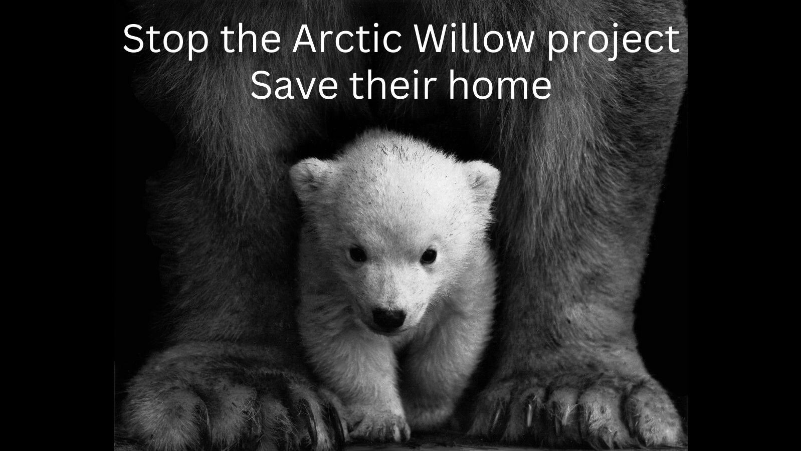 Petition · "Stop the Willow Project: Protect Our Planet, Our Future ...