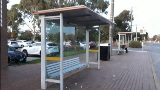 Petition · CCTV & PSO'S AT POPULAR LYALL STREET BUS STOP - CITY OF ...