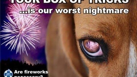 Petition · STOP FIREWORKS - South Africa · Change.org