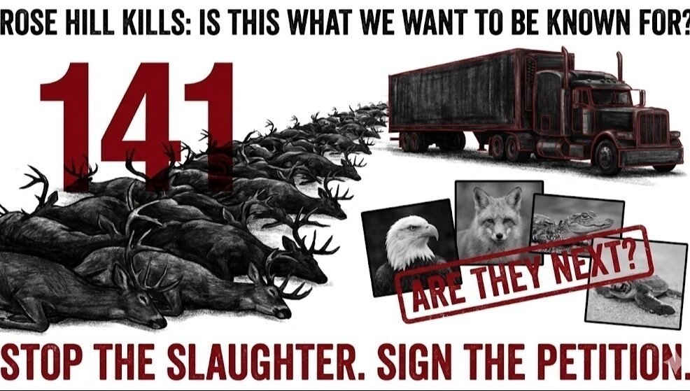 Petition · Stop the inhumane slaughter of deer in Rose Hill Plantation ...