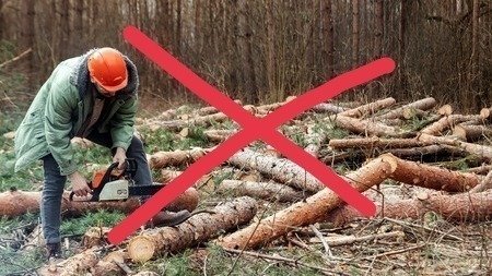 Petition · Stop Cutting Tress - Philippines · Change.org