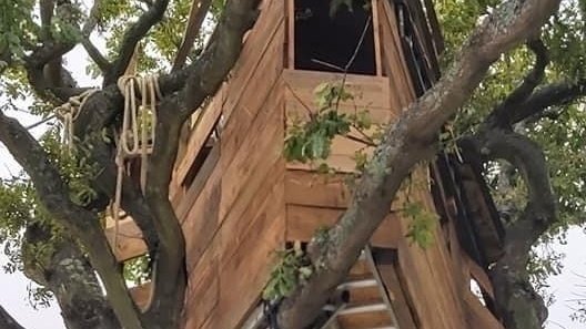 Petition · Save the tree house on Links Drive - United Kingdom · Change.org