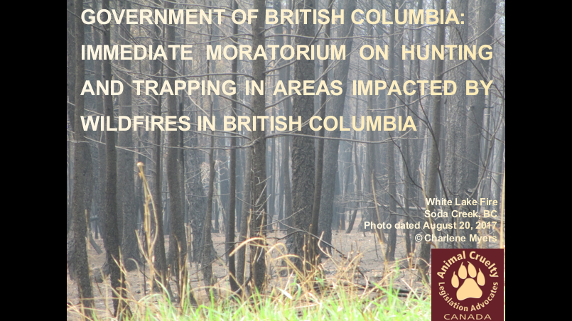 Petition · IMMEDIATE MORATORIUM ON HUNTING AND TRAPPING IN AREAS ...