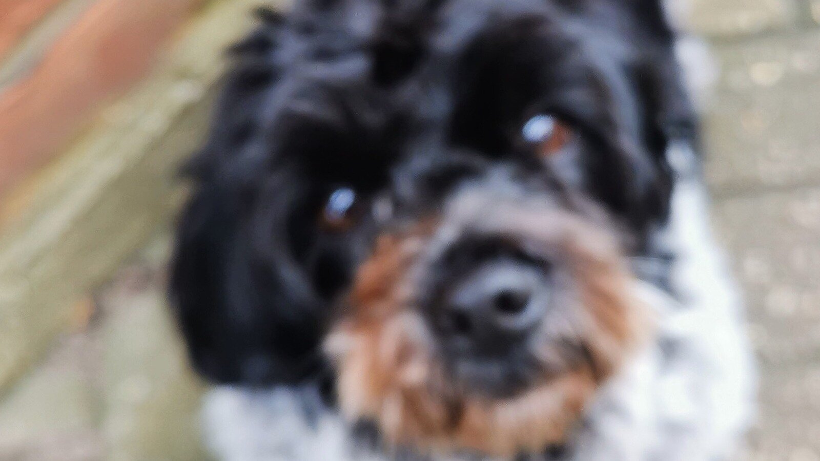 Petition · Urge Wirral Borough Council to Enhance Facilities at ...