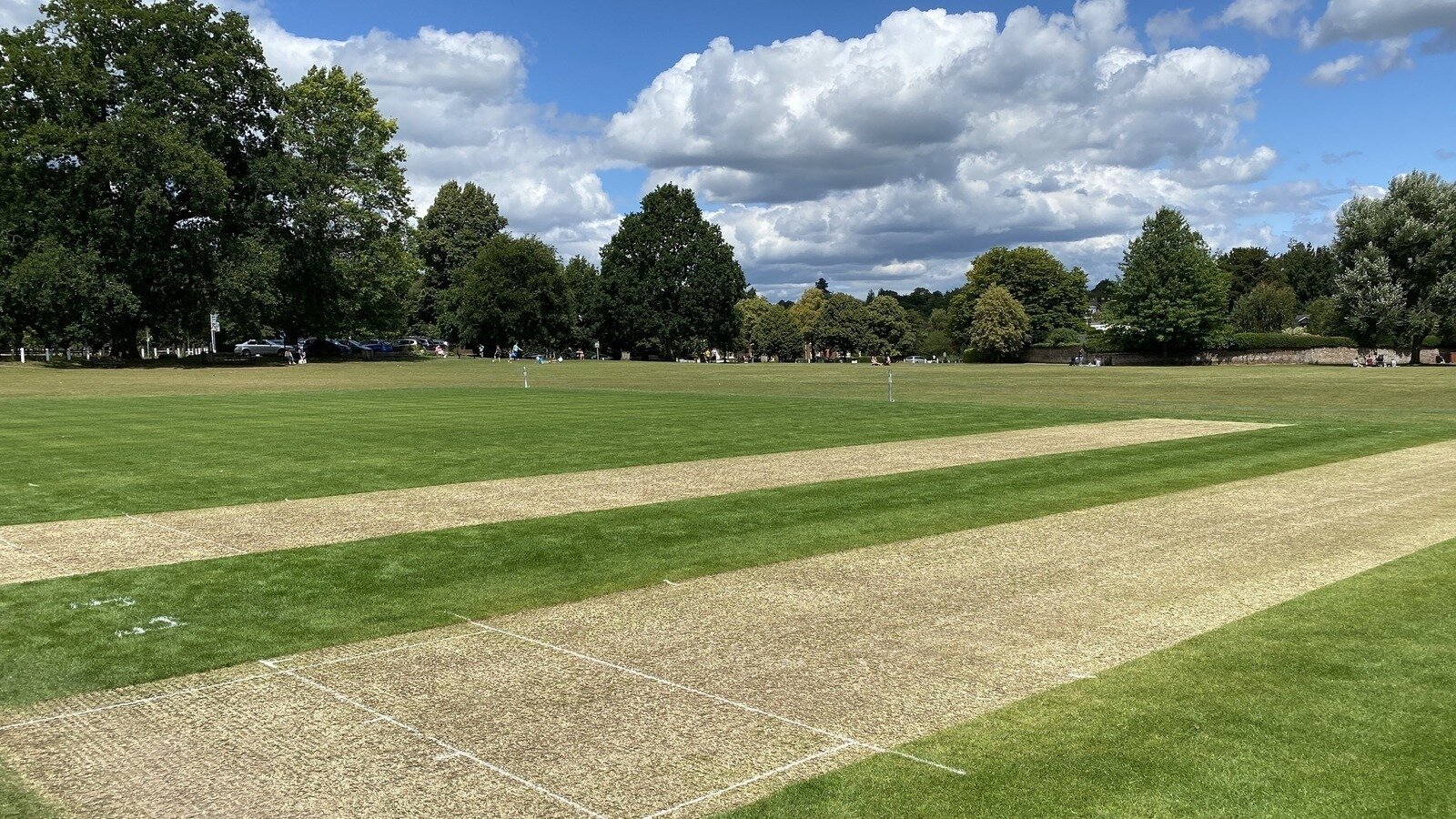 Petition · Community Sport - Provision of a Second Cricket Square on ...